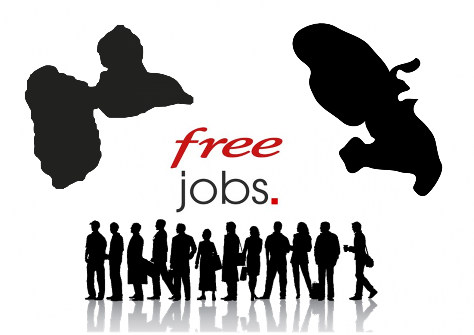 Free recrute ses équipes en Martinique, en vue du lancement de ses offres