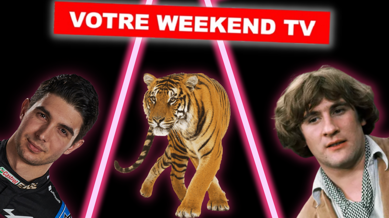 Votre Weekend TV : Bruce Willis, de gros matous et une bande d'enfoirés ...