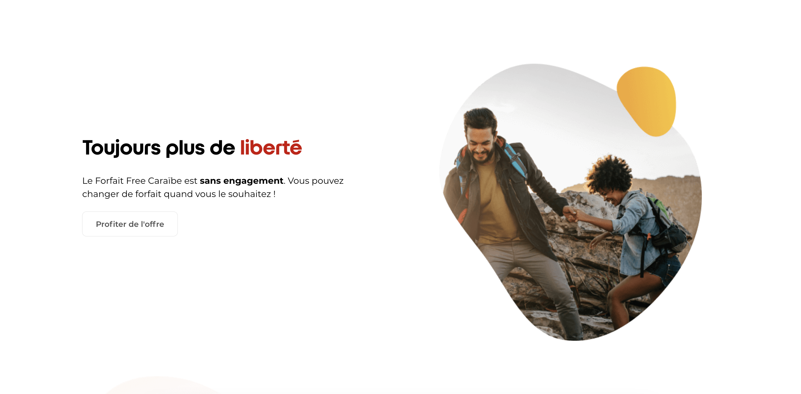 Les abonnés Free Caraïbe, peuvent désormais résilier en ligne ...